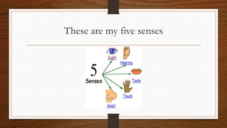 The Five senses Powerpoint | PPTX