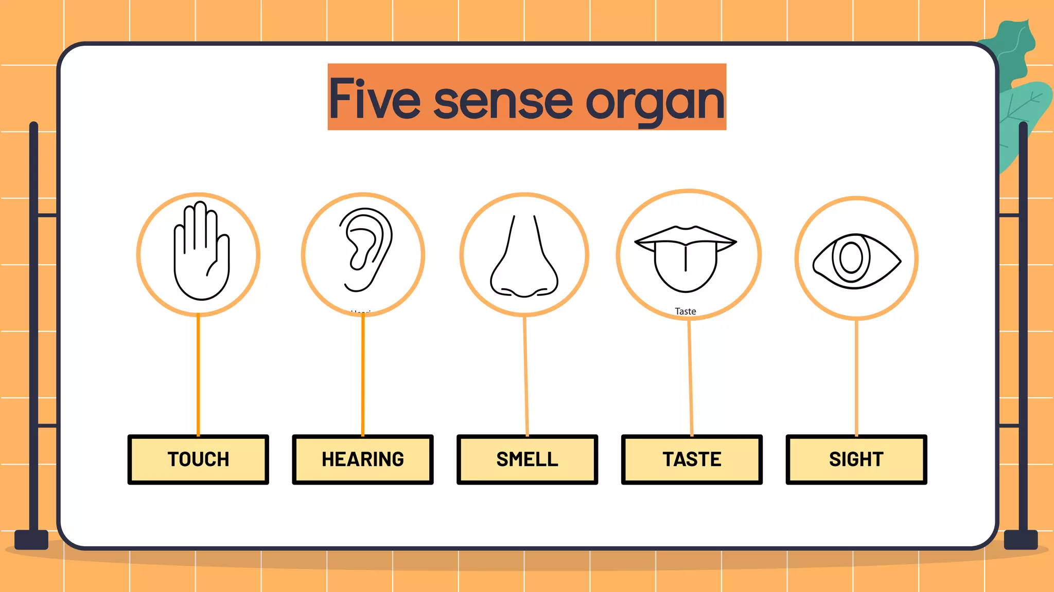 FIVE SENSES.pdf | Ear, Nose and Throat Conditions | Diseases and Conditions