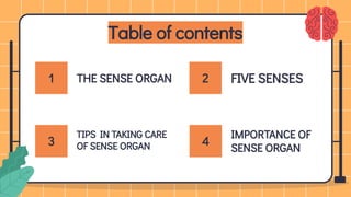 FIVE SENSES.pdf
