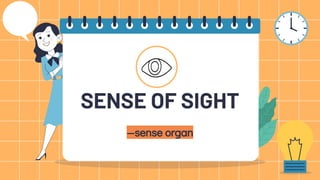 FIVE SENSES.pdf