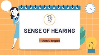 FIVE SENSES.pdf