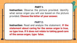 FIVE SENSES.pdf