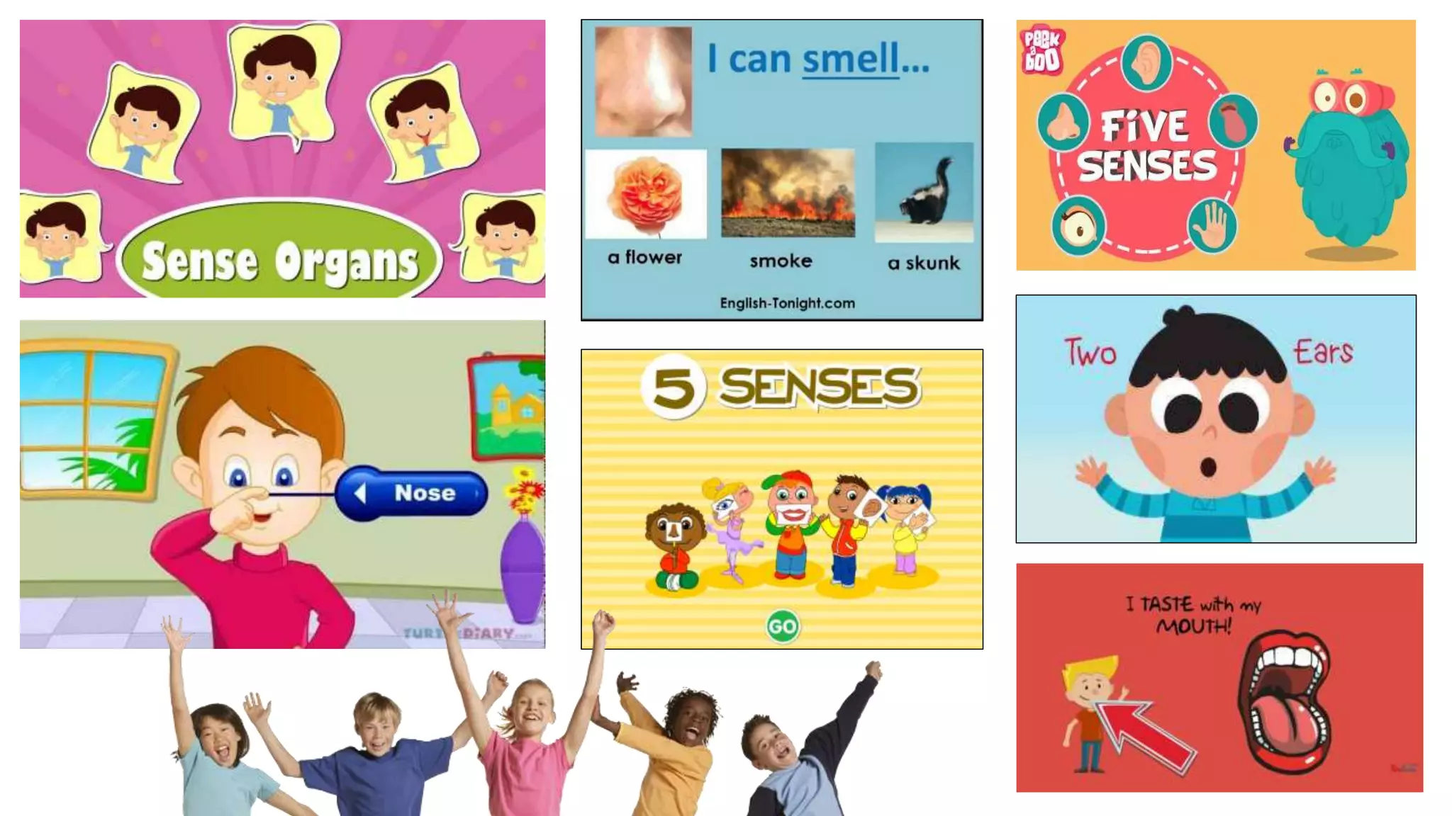 Five senses (year 1) | PPTX