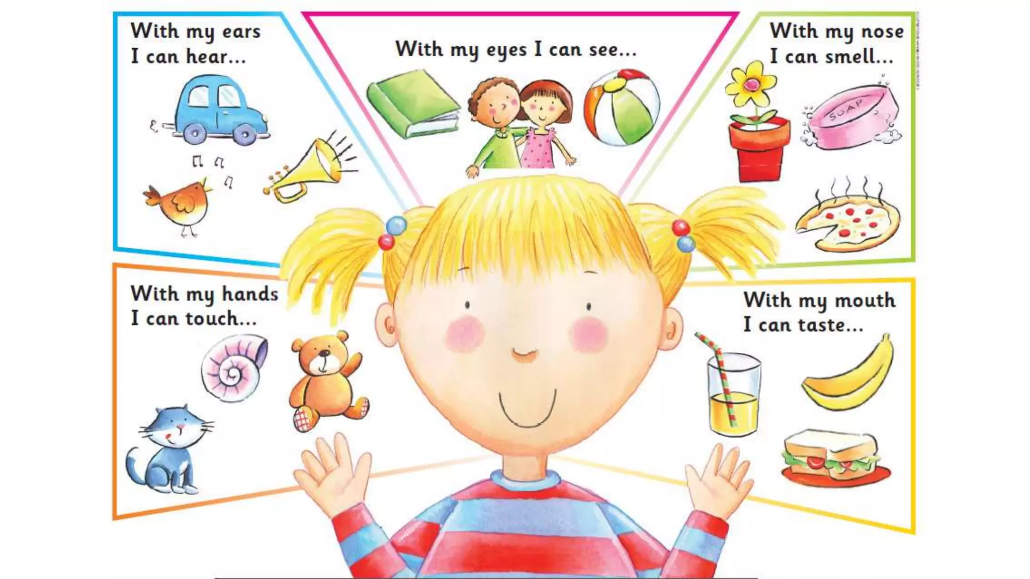 Five senses (year 1) | PPTX