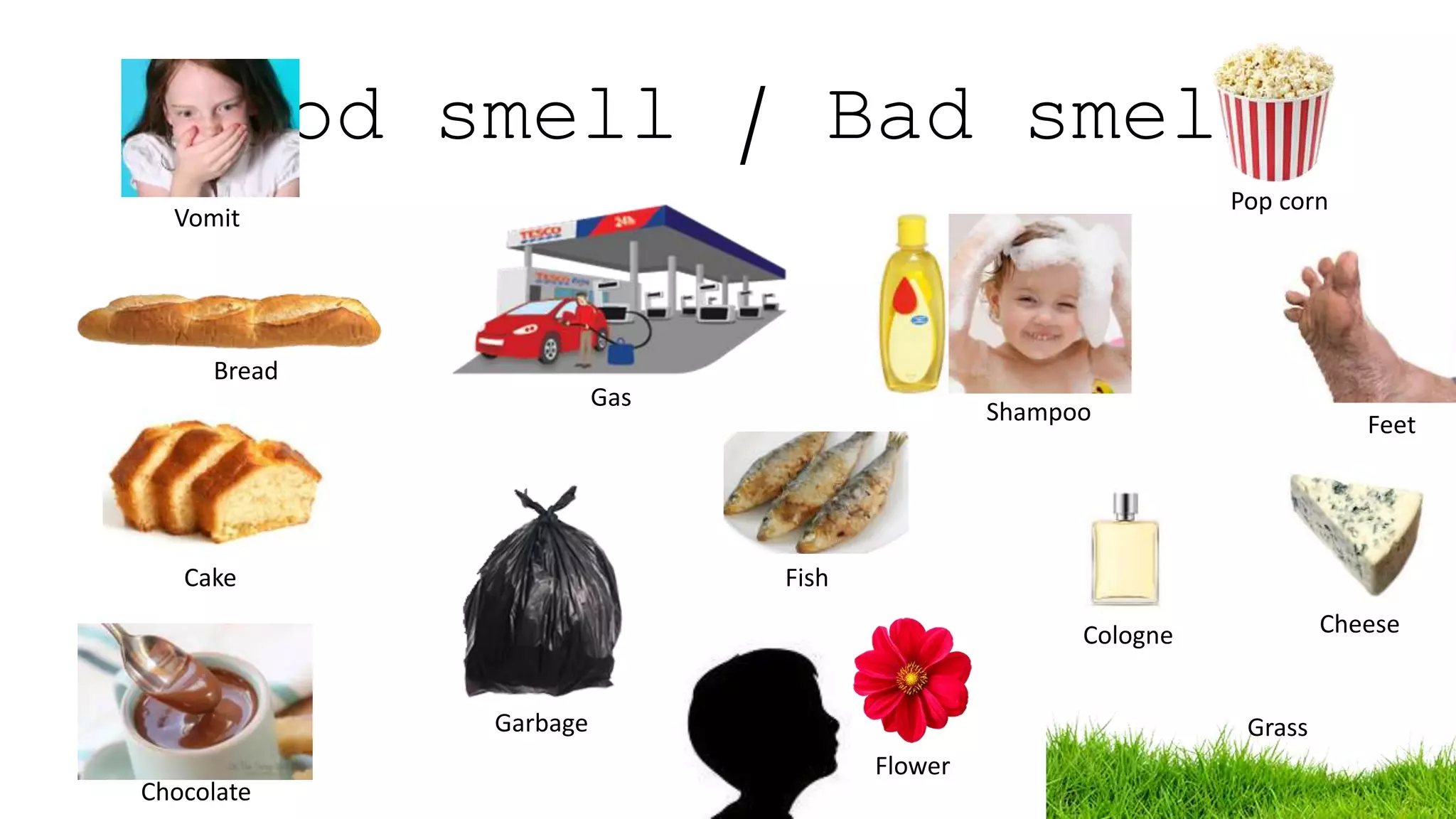 Five senses (year 1) | PPTX