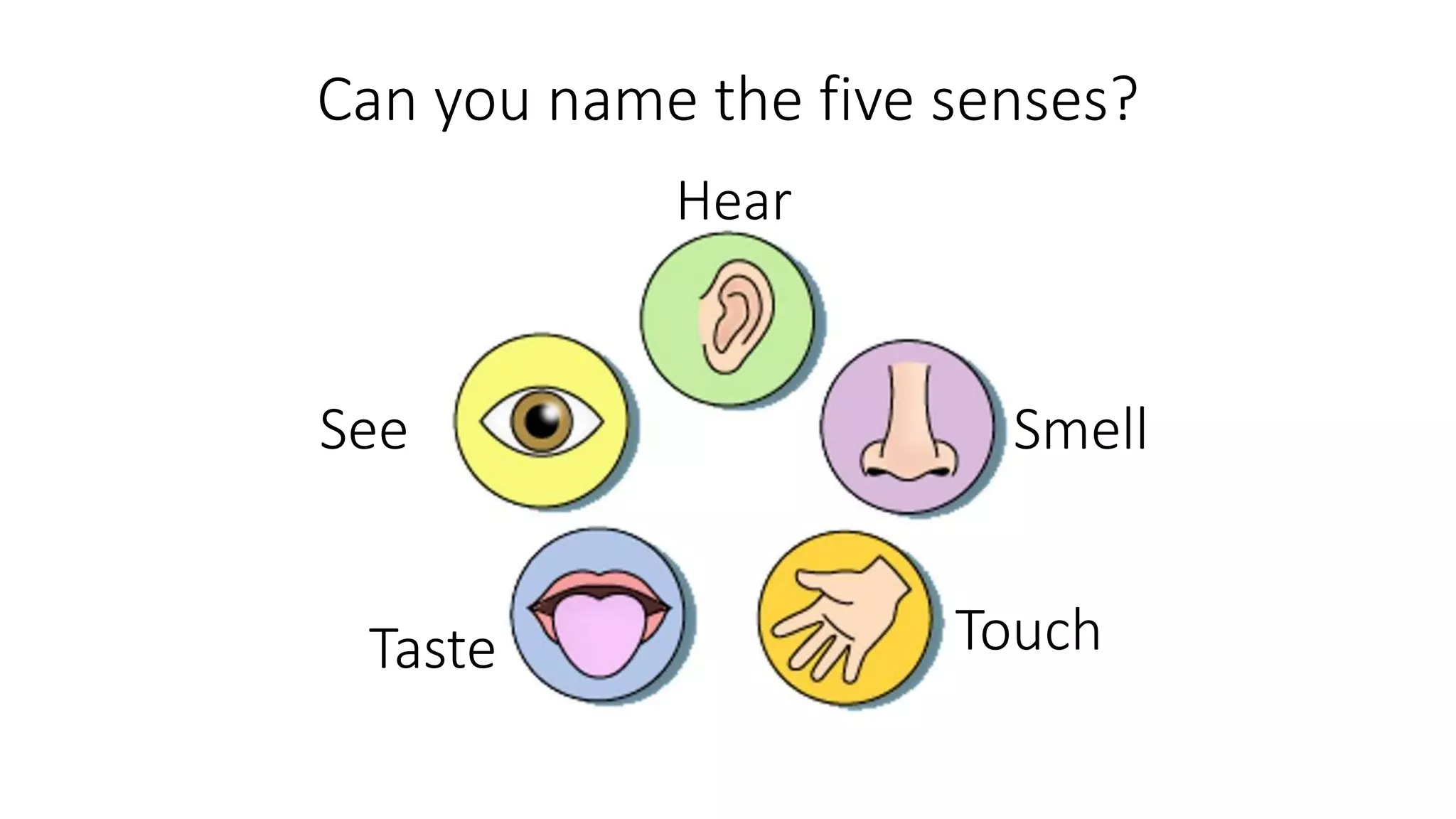 Five senses (year 1) | PPTX