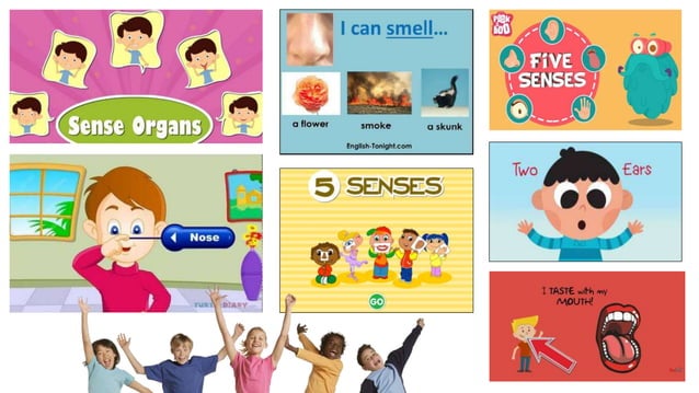 Five senses (year 1) | PPTX