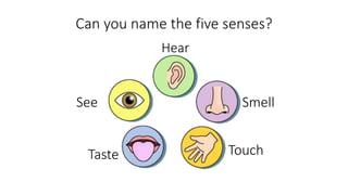 Five senses (year 1) | PPTX