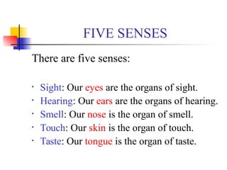Five senses by pedro and iván herrera | PPT