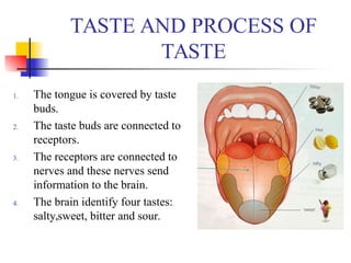 Five senses by pedro and iván herrera | PPT