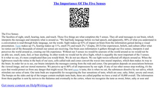 Five Senses Essay | PPT