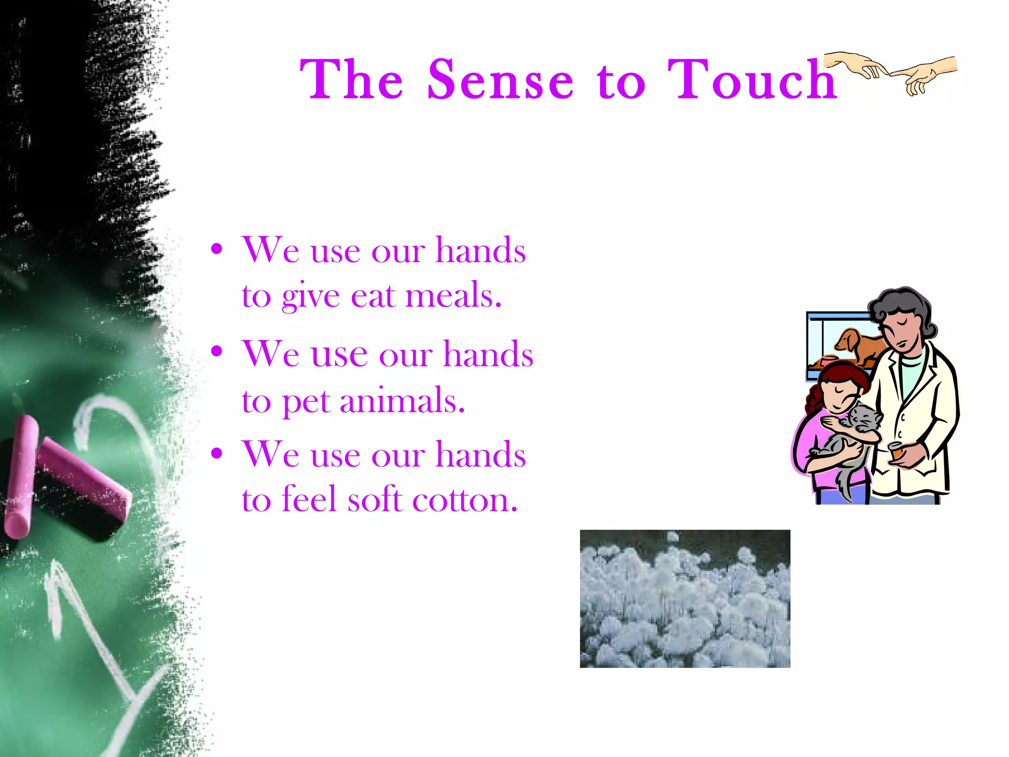 Our Five Senses | PPT
