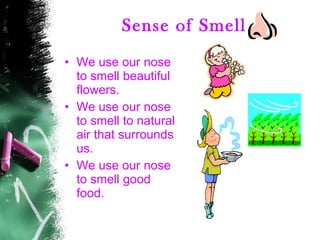 Our Five Senses | PPT