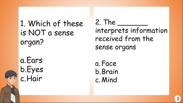 Five Senses Quiz | PDF