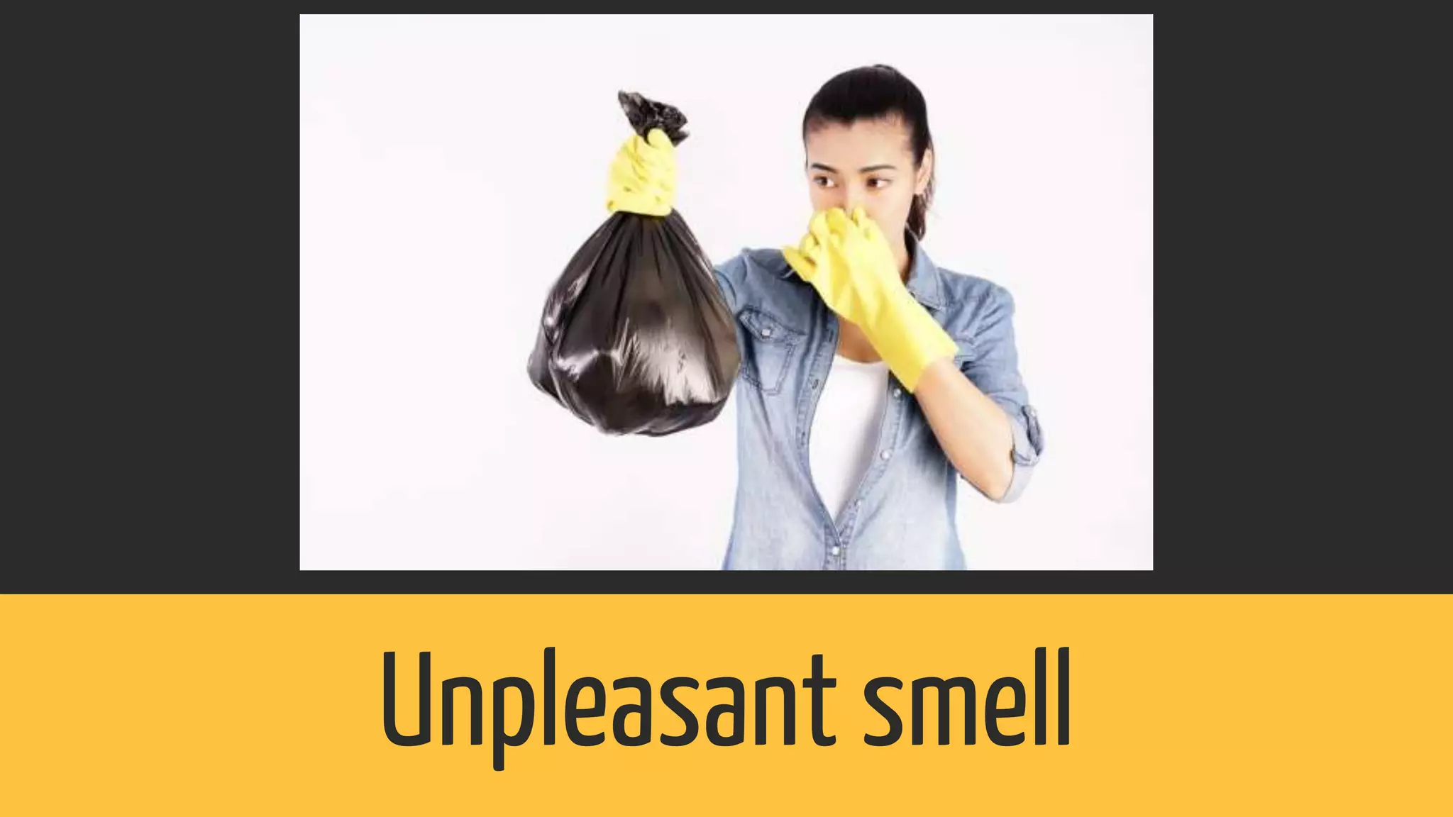 Five Senses (SMELL).pptx