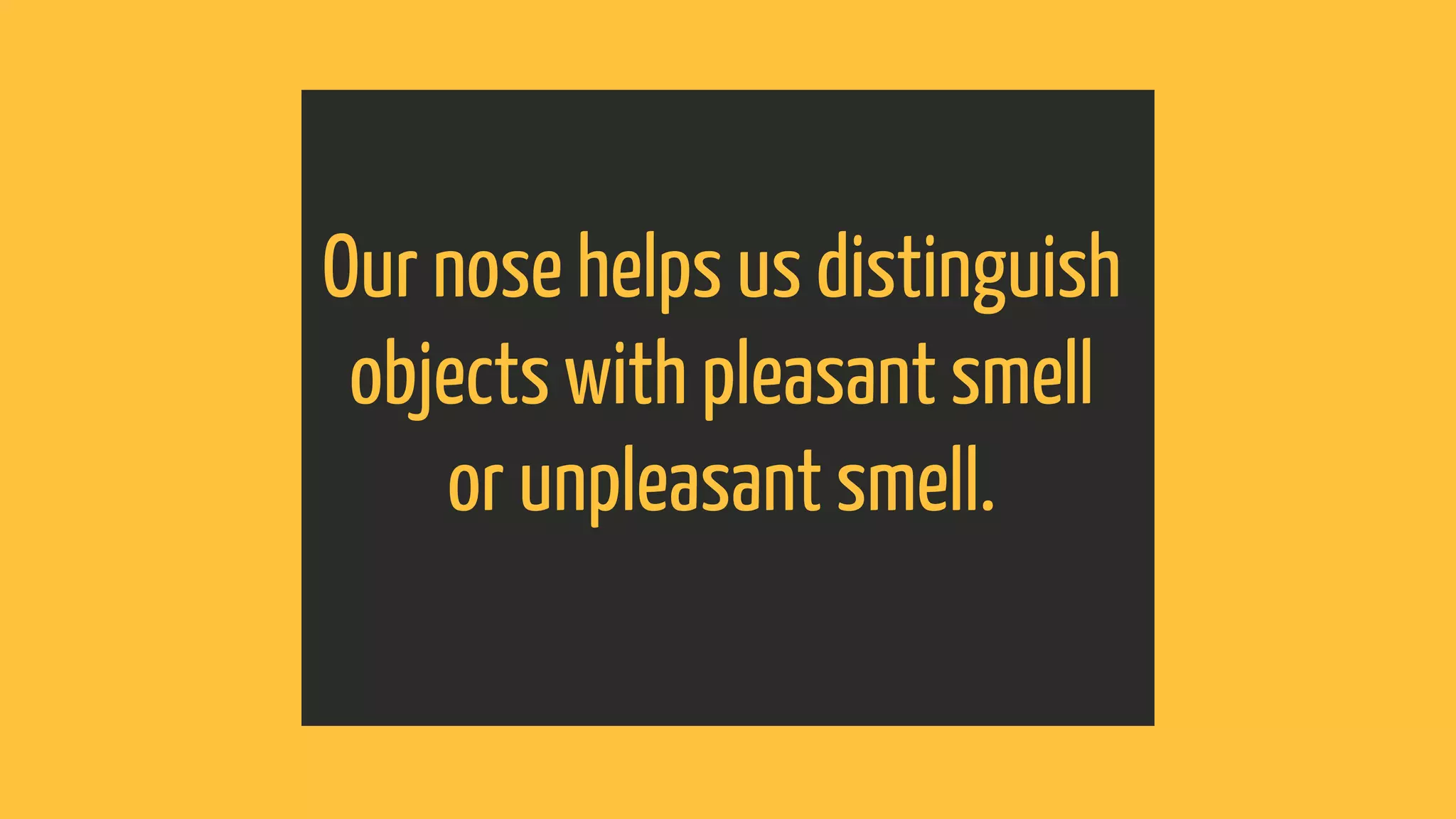 Five Senses (SMELL).pptx