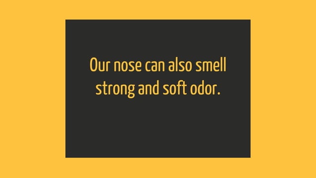 Five Senses (SMELL).pptx | Free Download