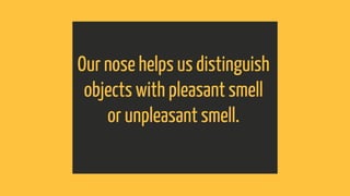Five Senses (SMELL).pptx