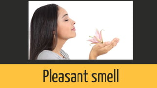 Five Senses (SMELL).pptx