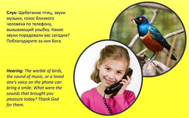 Благодарим За Пять Чувств - Five Senses Thanksgiving | PPT