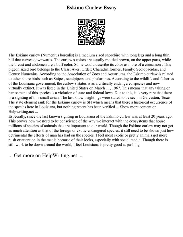 Five Sentence Paragraph Examples. How To Write A | PDF