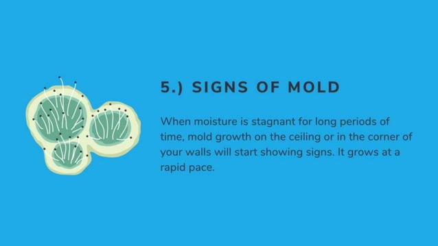 Five Signs Your Home Has High Humidity Issues | PPTX