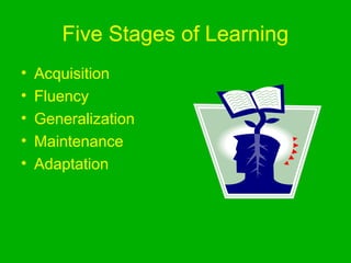 The Five Stages of Learning Simplified for Undergraduates | PPT