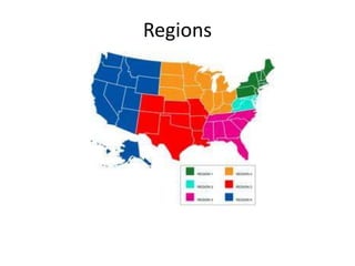 Five themes of geography | PPTX