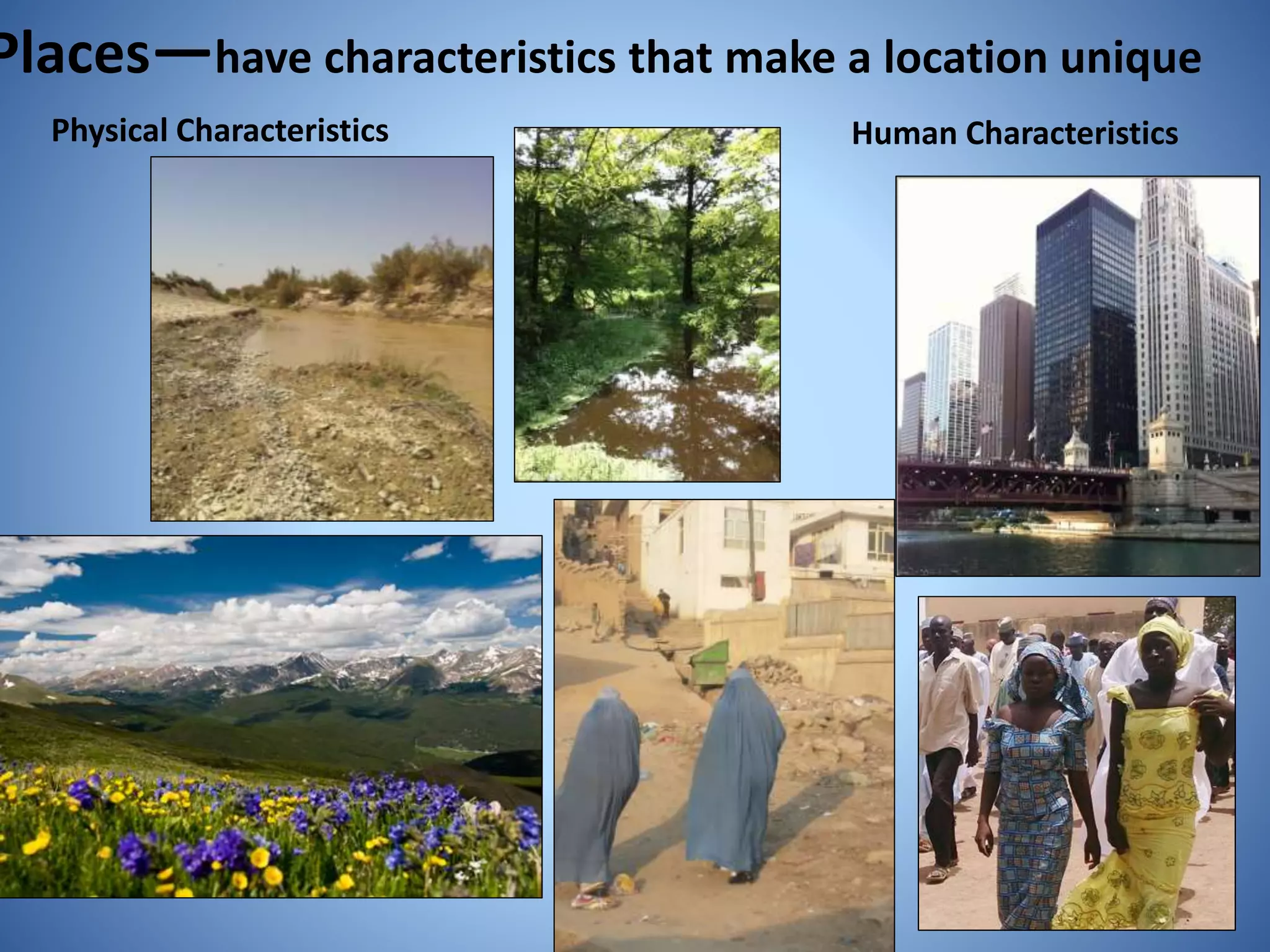 Five themes of geography | PPTX