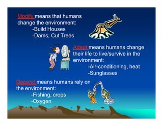 FiveThemesofGeographyReview.pptx