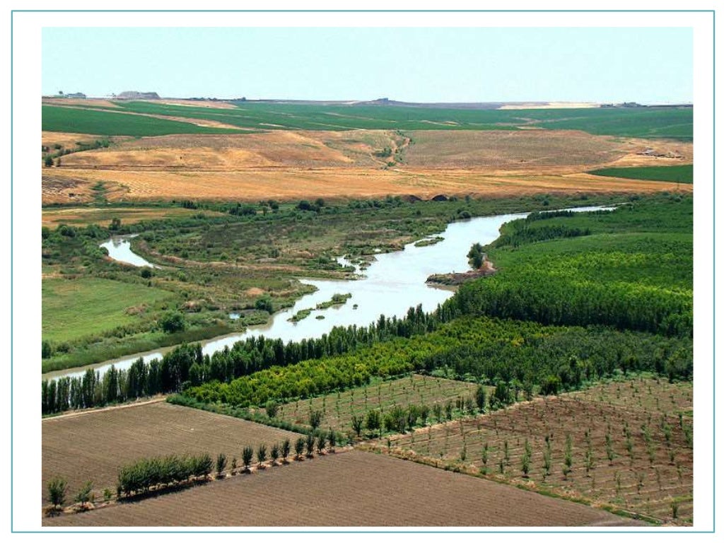 Mesopotamia & Fertile Crescent