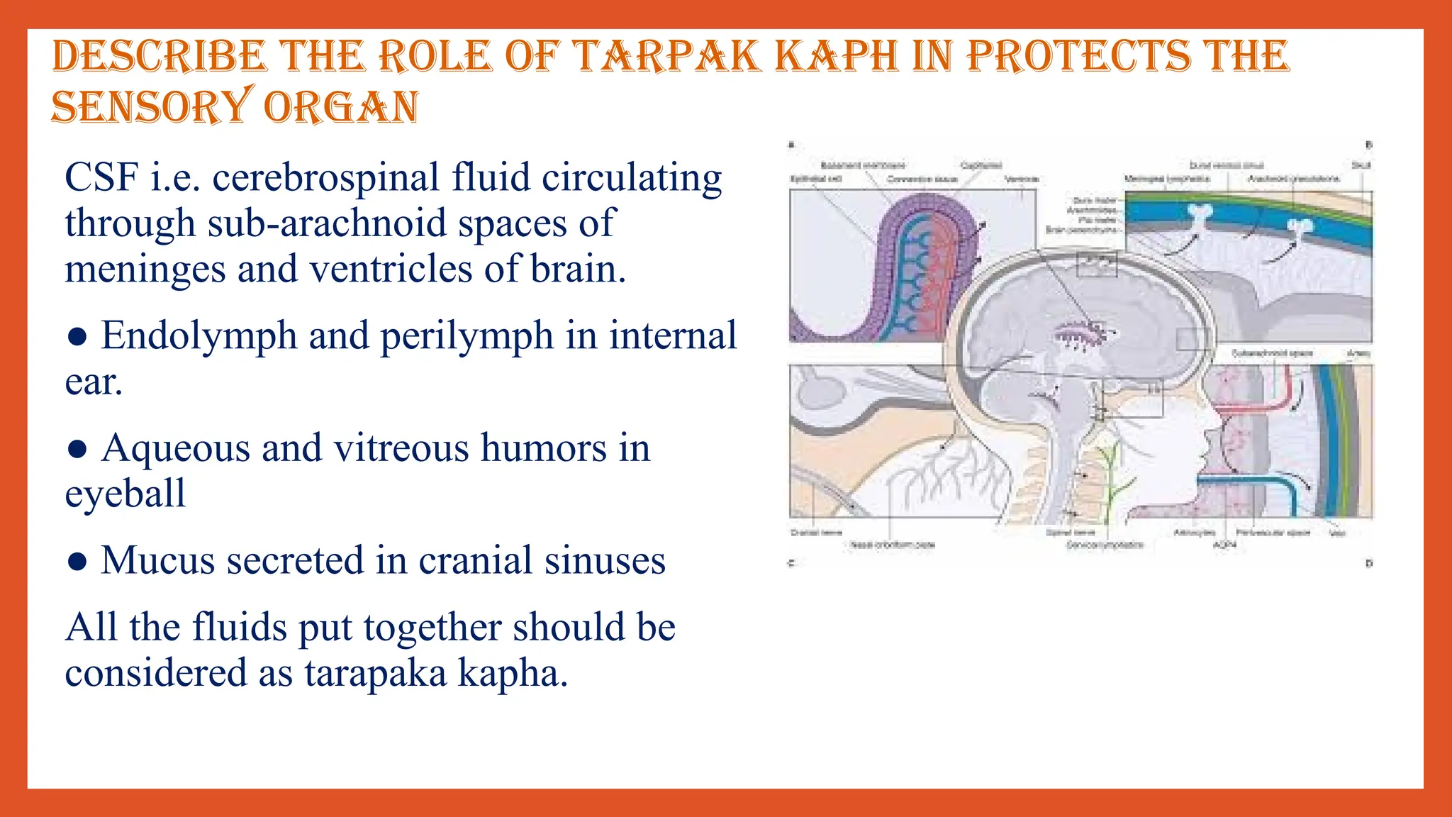 FIVE TYPES OF KAPH DOSHA ACCORDING TO AYURVEDA AND THEIR RELATION WITH ...
