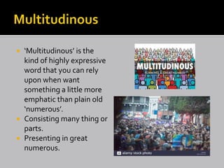 Vocabulary Drill | PPTX