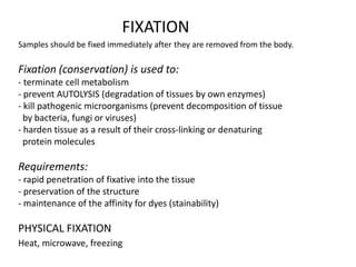 Fixation | PPTX