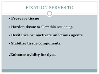 Fixation | PPTX