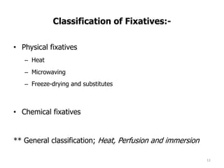 Fixation.pptx Yr 2.pdf