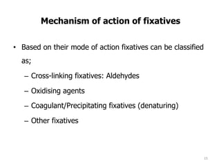 Fixation.pptx Yr 2.pdf