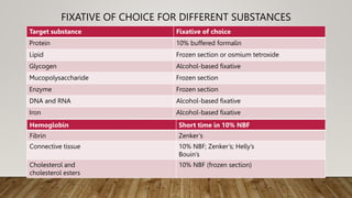 fixation.pptx