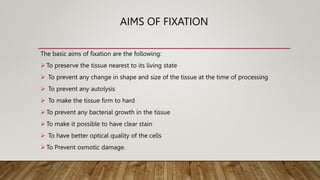 fixation.pptx