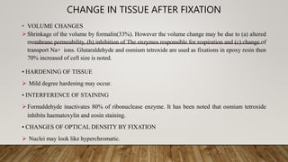 fixation.pptx