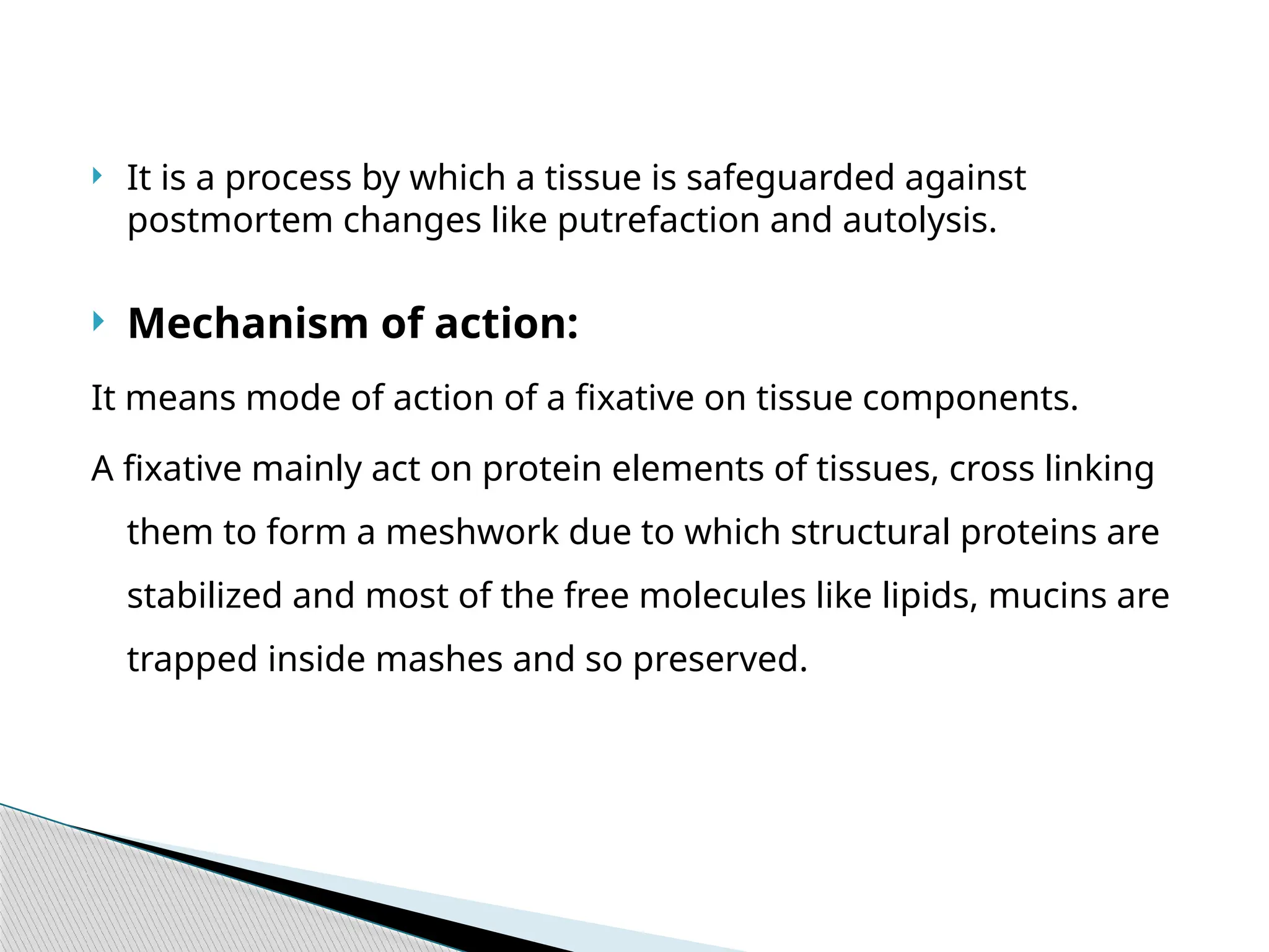 Fixation consists of two steps: cessation of normal life functions in ...