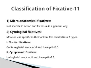 Fixation consists of two steps: cessation of normal life functions in ...