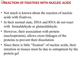 Fixation And Fixatives In Histopathology Ppt