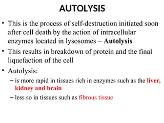 FIXATION AND FIXATIVES IN HISTOPATHOLOGY | PPT