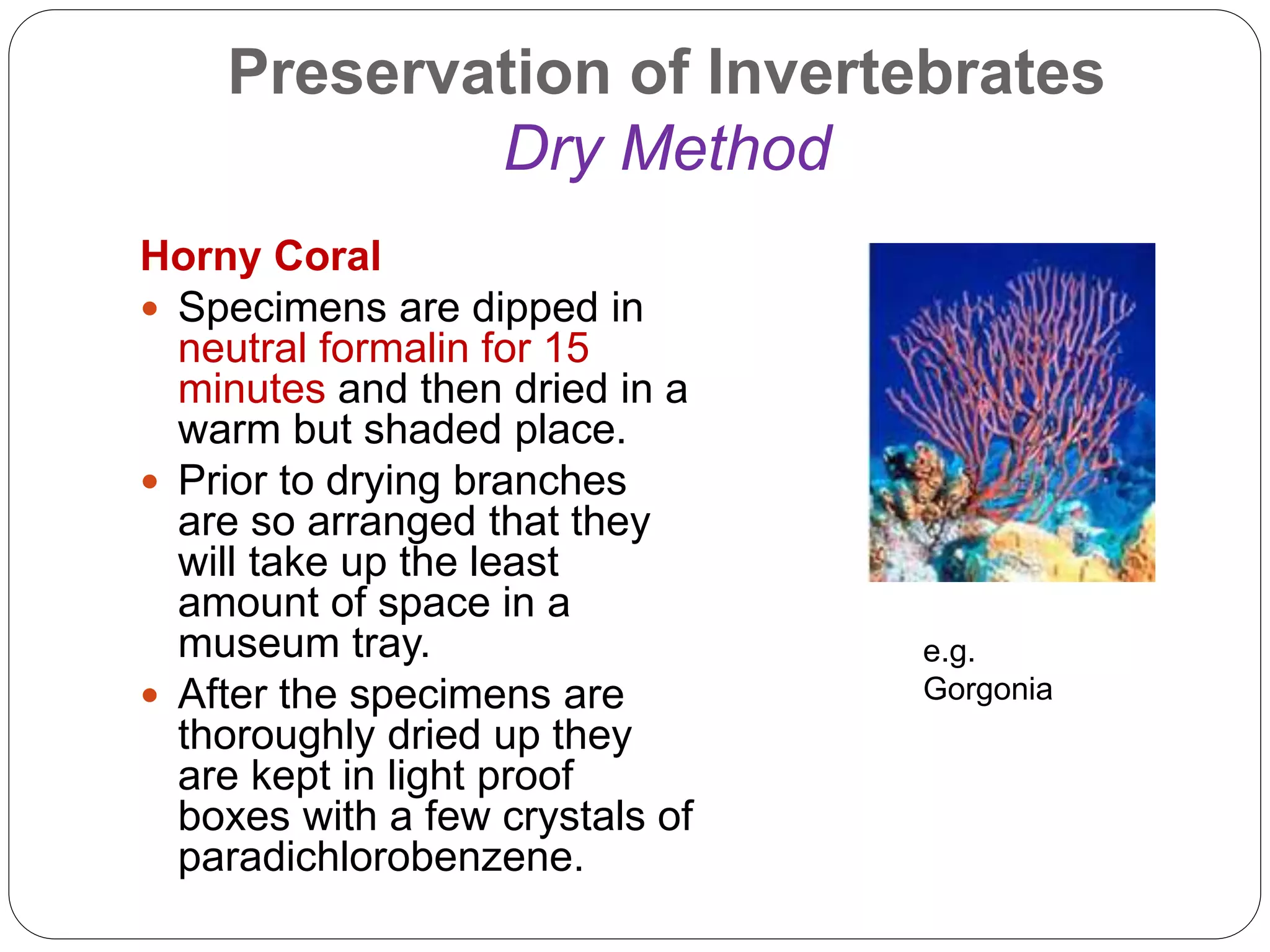 Fixation and preservation of Invertebrates | PPTX