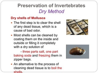 Fixation and preservation of Invertebrates | PPTX