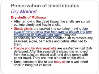 Fixation and preservation of Invertebrates | PPTX