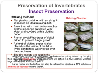 Fixation and preservation of Invertebrates | PPTX