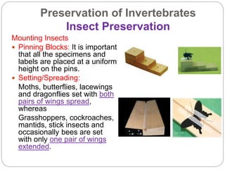 Fixation and preservation of Invertebrates | PPTX