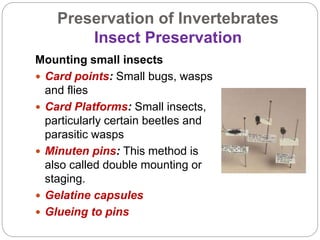 Fixation and preservation of Invertebrates | PPTX